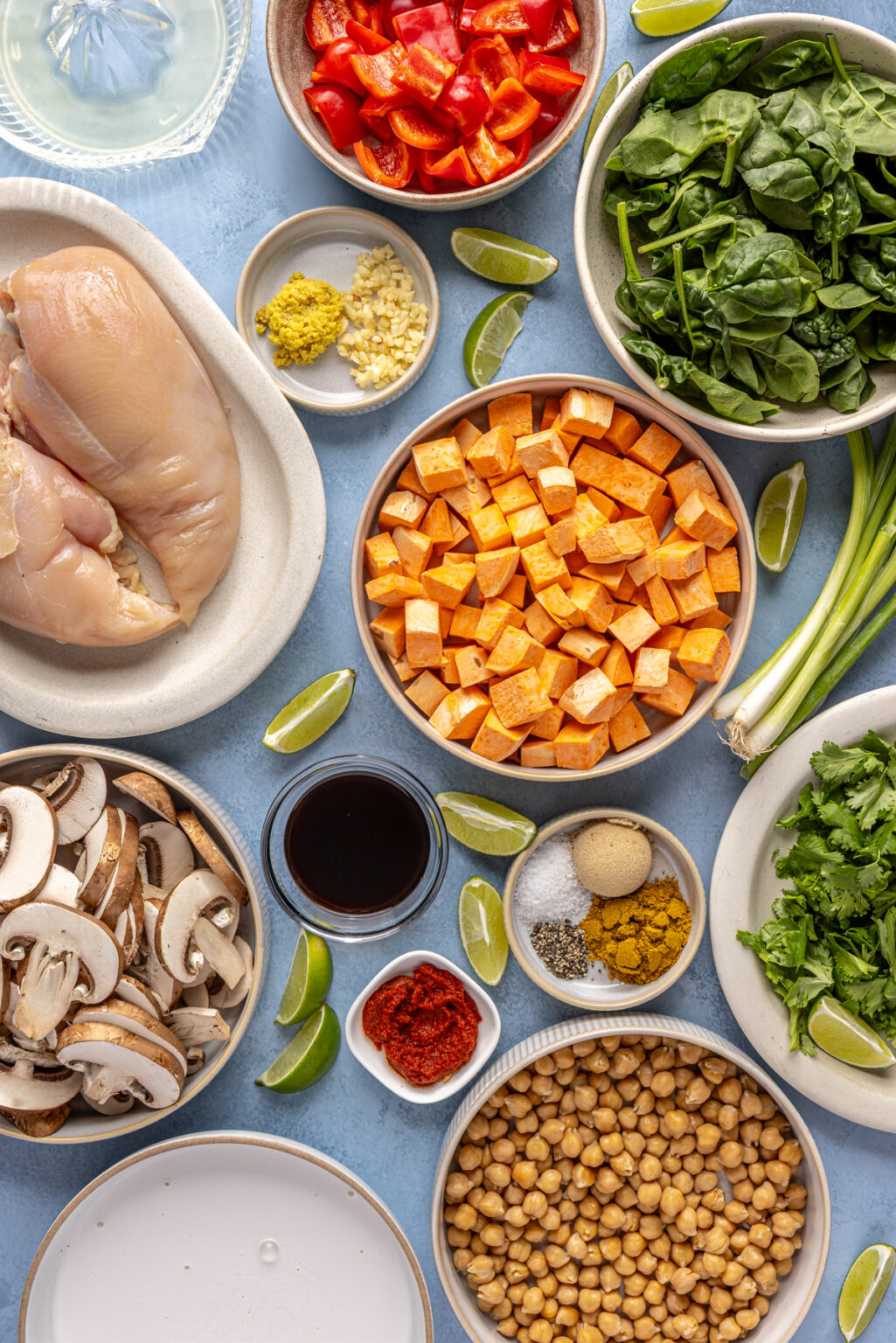 Freezer-Friendly Coconut Curry Chicken Stew - Brocc Your Body